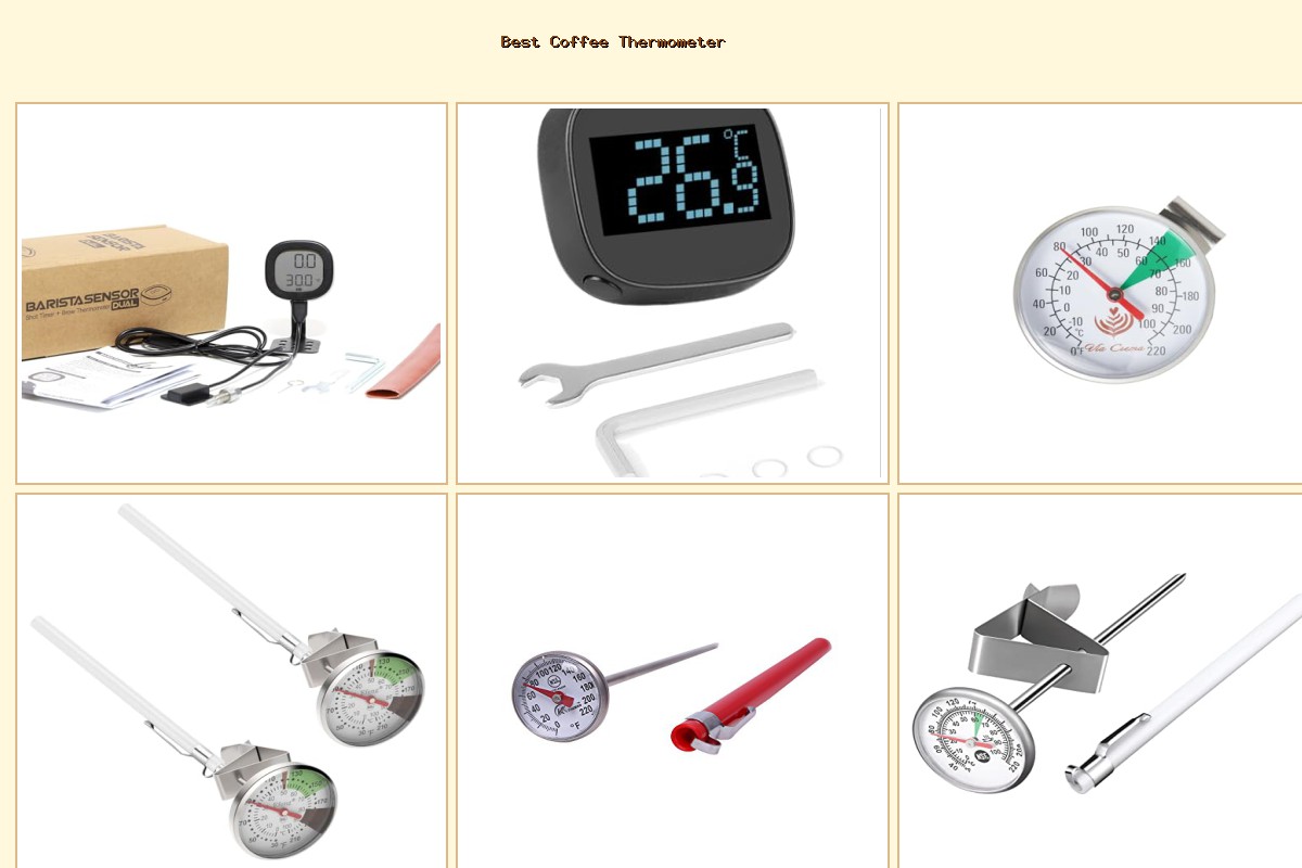 Best Coffee Thermometer